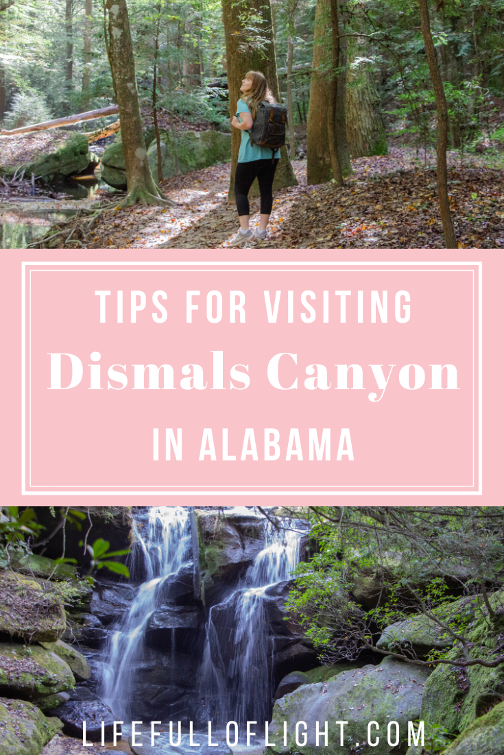 Tips for Visiting Dismals Canyon in Alabama - Mary Lauren Mills